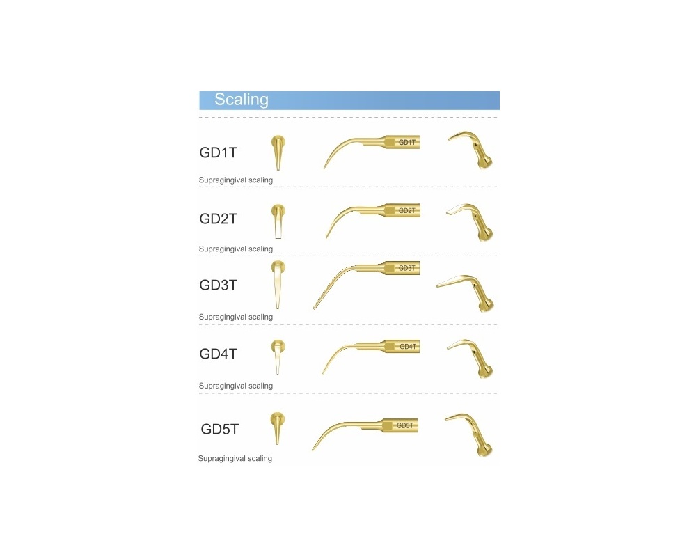GD1T Titanium-coated Scaler Tip (for DTE, Satelec, NSK type Ultrasonic ...