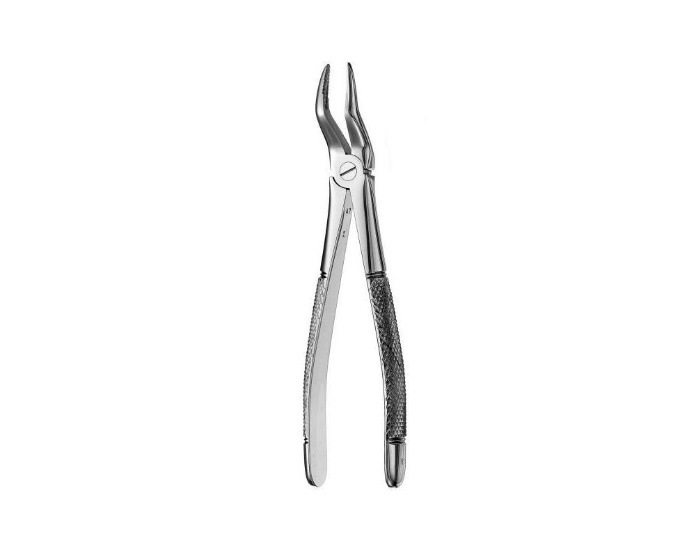 51 European Style Root Forceps, Serrated | FX51 | Supply Clinic
