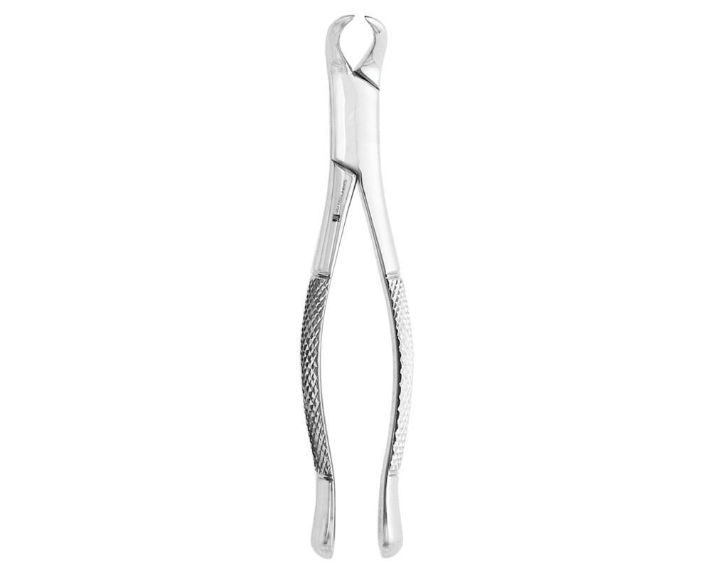 Forcep Extracting Lower Molars #23 | IN05-230 | Supply Clinic