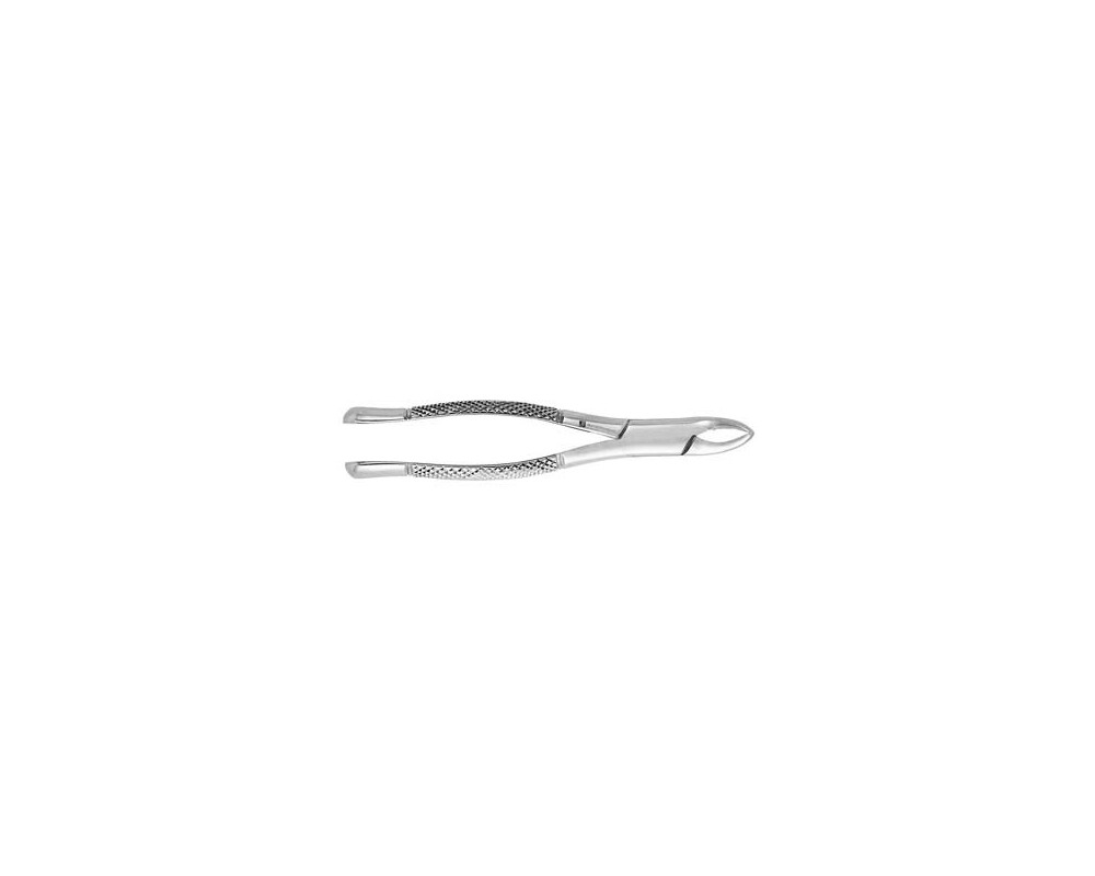 Forcep Extracting 101 Incisor, Bicuspids and Root, Upper, Universal ...