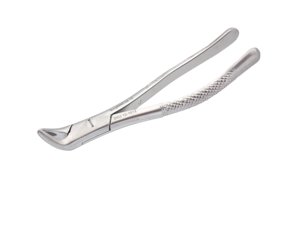 151S Pedo Forceps Child/Kids Extraction | 12-1812P | Supply Clinic