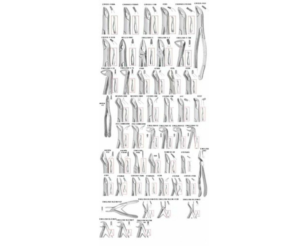 Extraction Forceps Upper Univ. #35AX | FE35AX | Supply Clinic