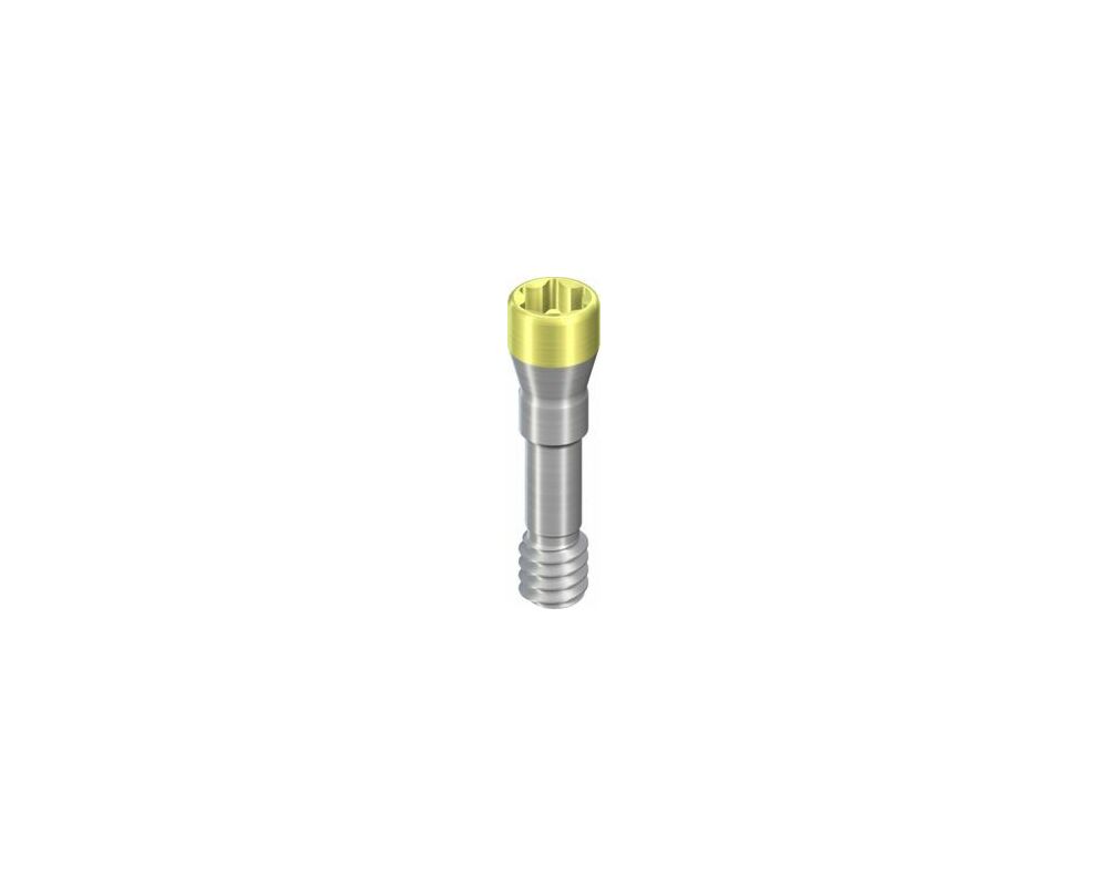 NC Basal Screw, for Cementable Abutment only - TAN | 025.2908 | Supply ...