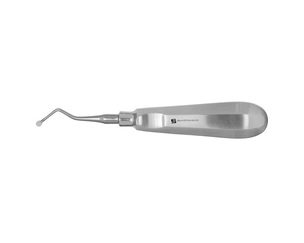 Molt Curette #6R | IN02-296 | Supply Clinic