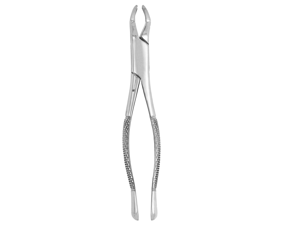 Extracting Forcep #210S | IN06-211 | Supply Clinic