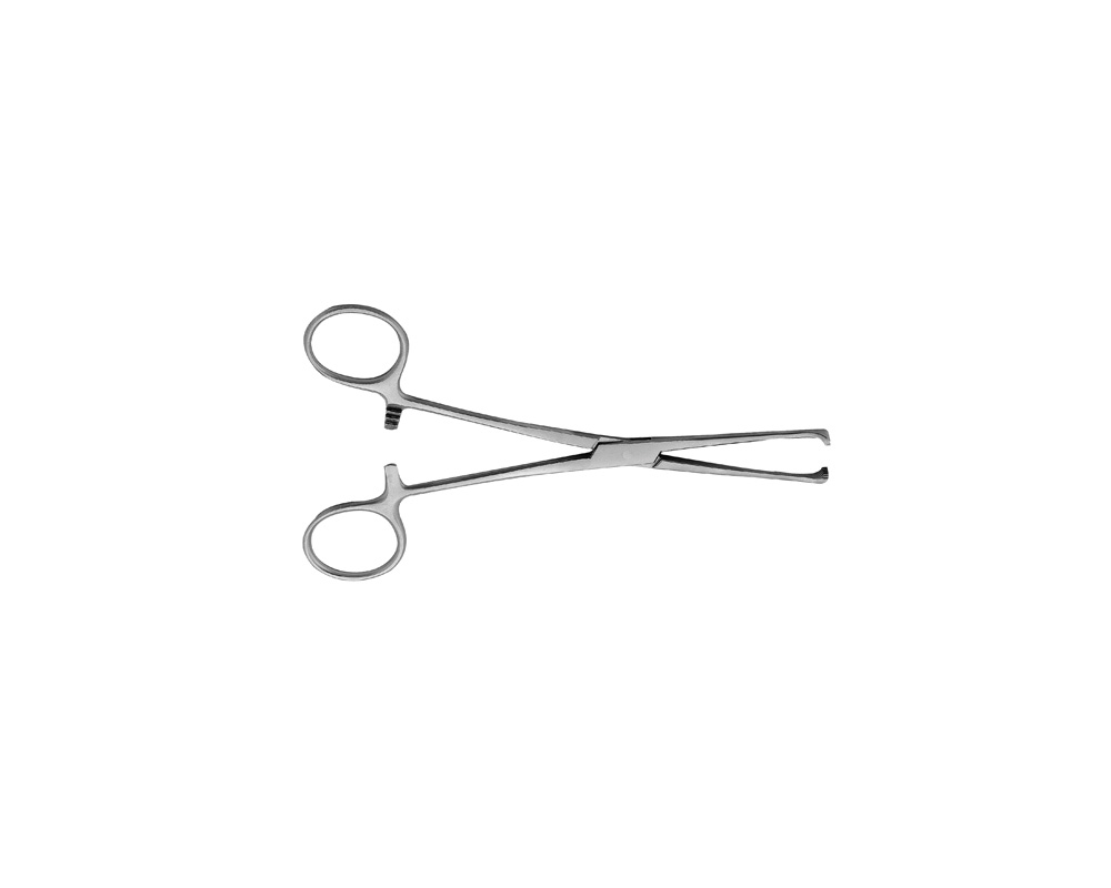 Allis Tissue Forcep 6'' 5X6 | IN24-3050 | Supply Clinic