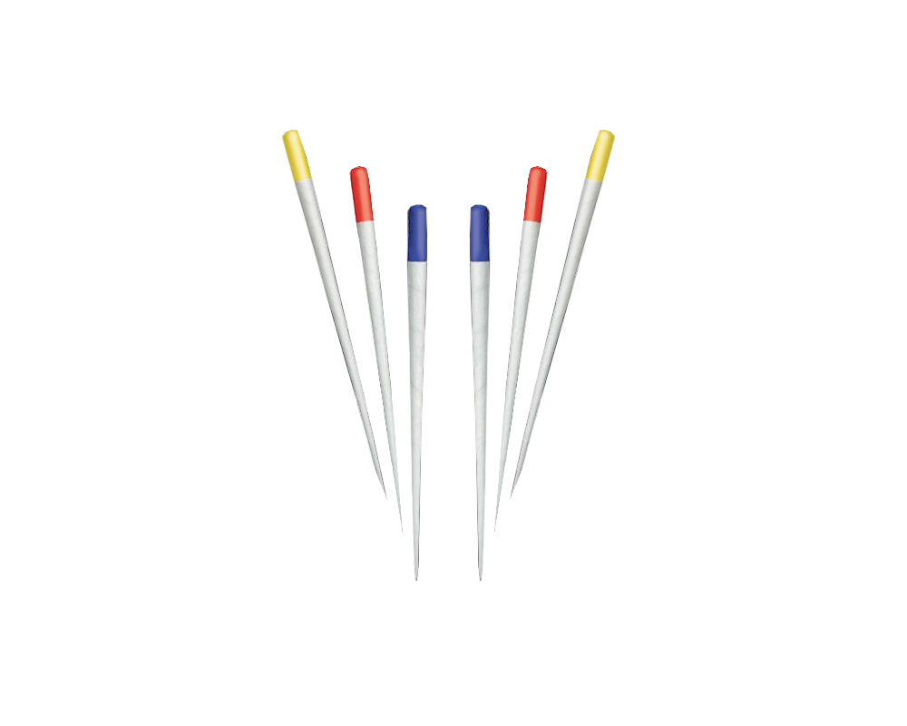 Cargus - Paper Points Cell Pack - X-Coarse | PP200-XC | Supply Clinic