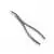 Dental Extraction Forcep | Upper Roots, FX300 | FX300 | Supply Clinic