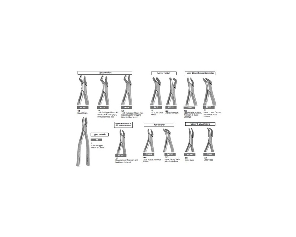 Dental Extraction Forcep Set, 13 pcs | 658Set | Supply Clinic
