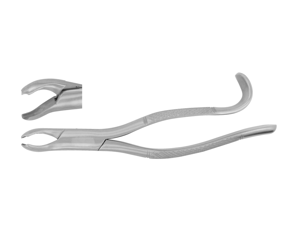 #15 Universal Extracting Forceps | 36-015 | Supply Clinic
