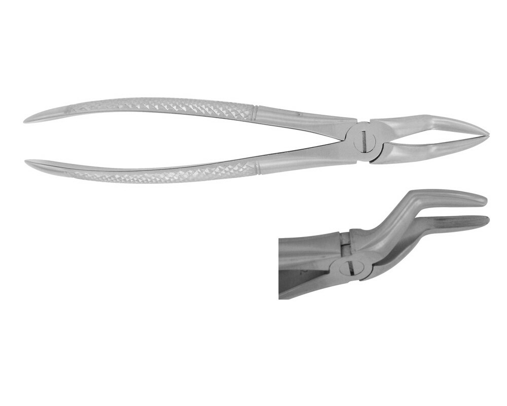 #51 Extracting Forceps | 36-051E | Supply Clinic