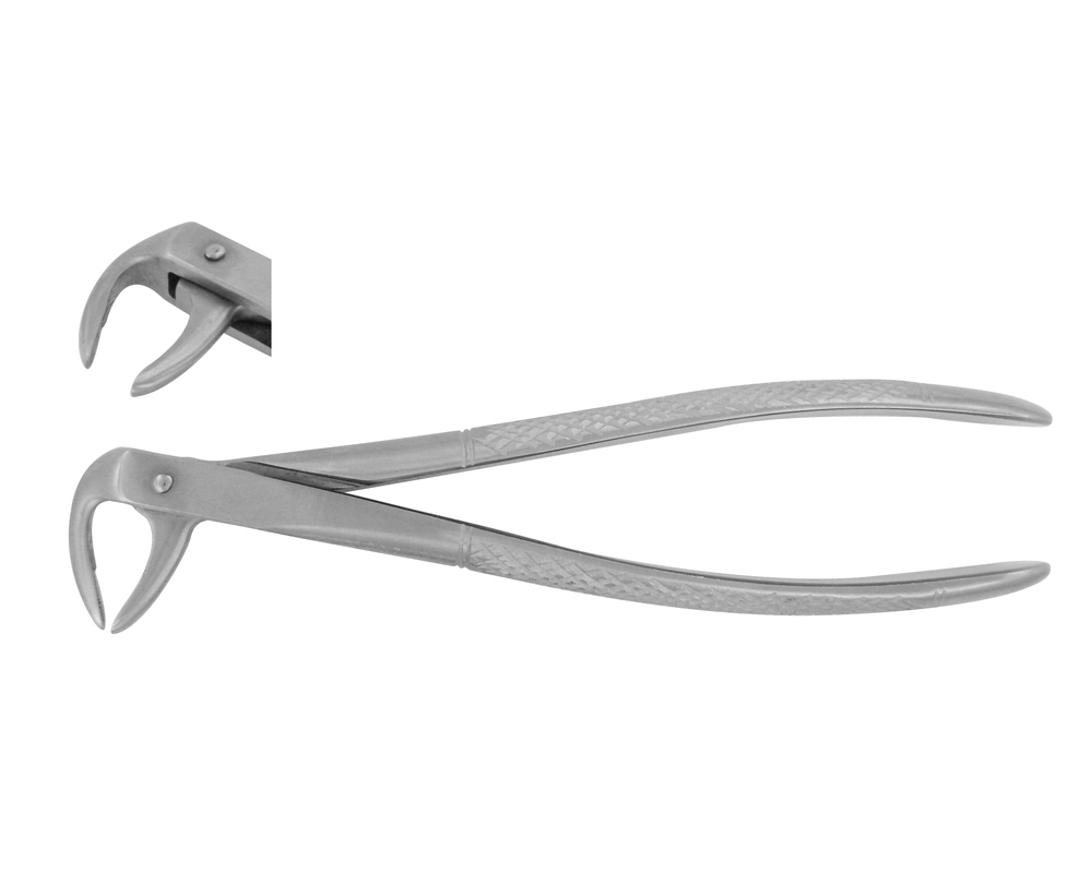 #74E Extracting Forceps | 36-074E | Supply Clinic
