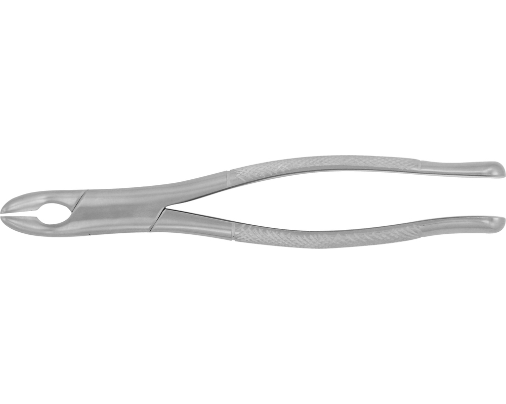 Universal Extracting Forceps #151A | 36-151A | Supply Clinic
