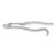 #210H Extracting Forceps | 36-210H | Supply Clinic