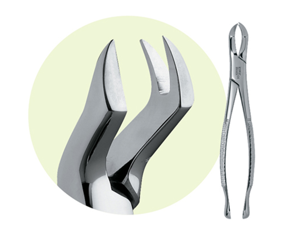 88L Maxillary Forceps | 9065024 | Supply Clinic